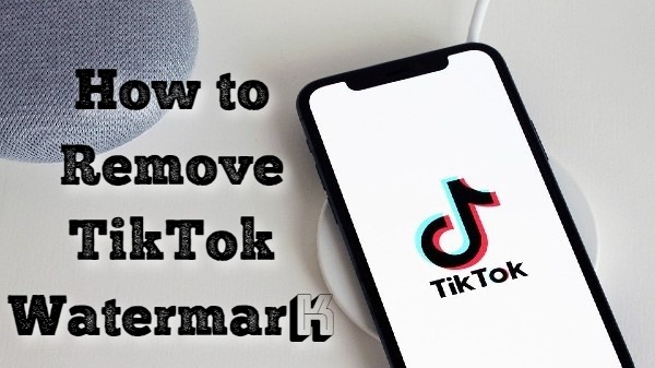 How To Remove TikTok Watermark 2022 Best TikTokers Guides 